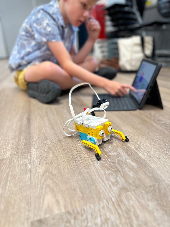 Eagle Junction State School Workshops – Bricks and Blocks Junior Engineers
